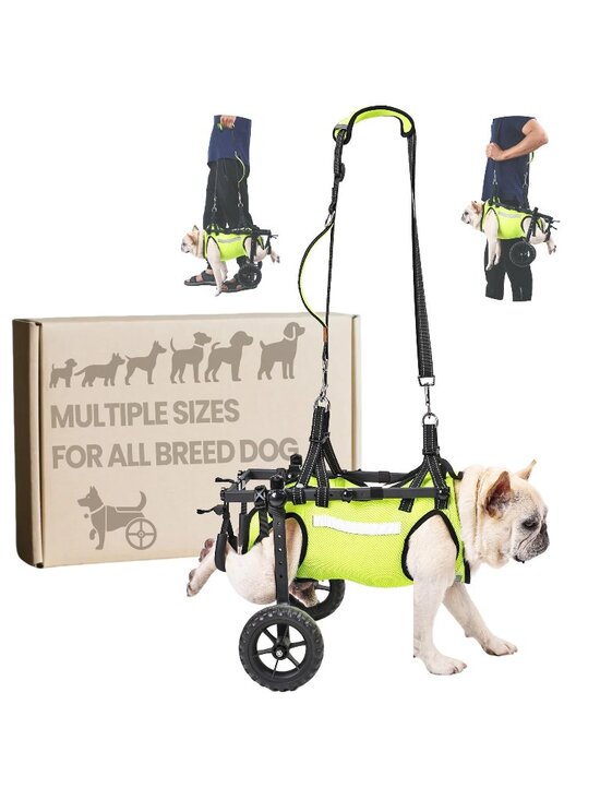 Dog | M Acesolid Adj Dog Wheelchair Back Legs For All Breed Dog | Poshmark